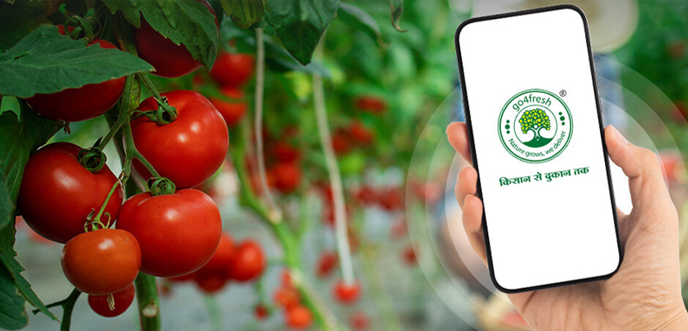 Trusted Marketplace For Fruits and Vegetables | Go4Fresh