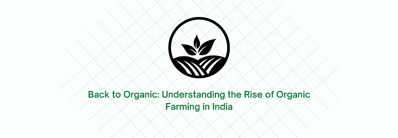 India Organic Logo Rapid Organic