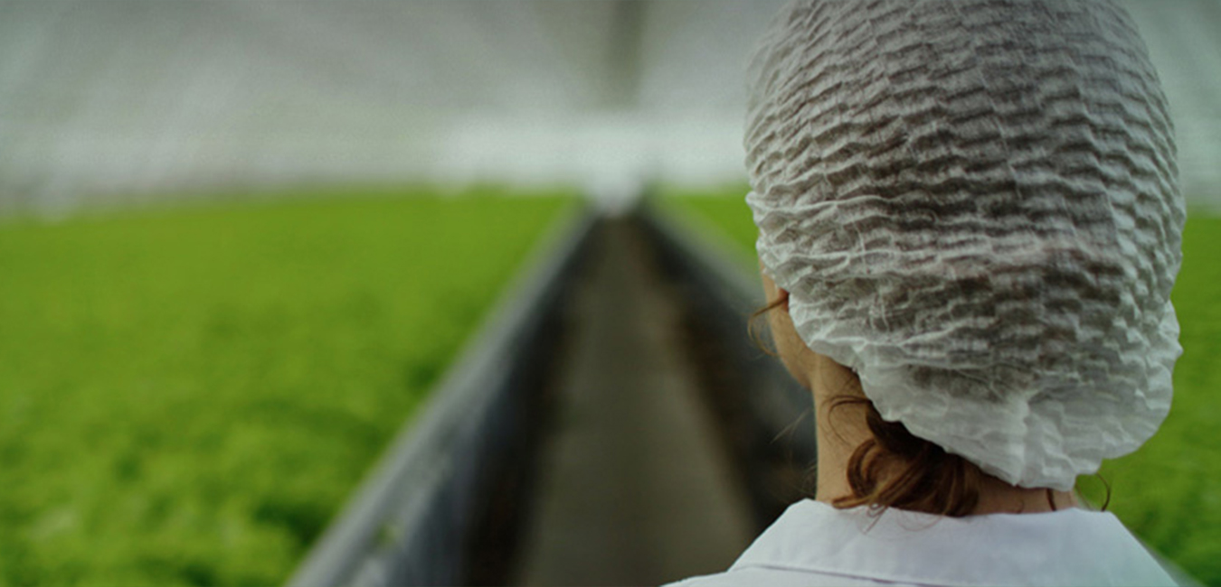 Trusted Marketplace For Fruits and Vegetables | Go4Fresh